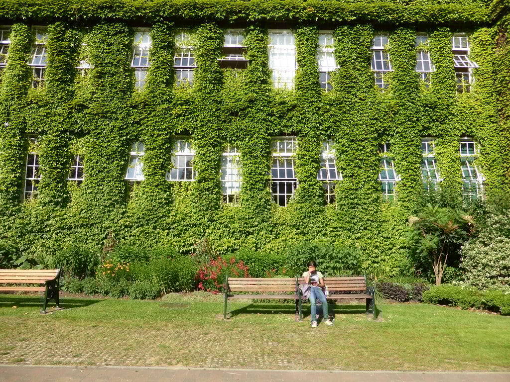 Regent's University London Guide | Accommodation for Students