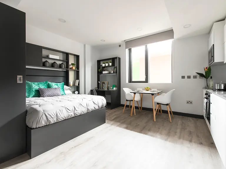 Premium Studio to let at New Mill, The Liberties, City Centre, Dublin ...